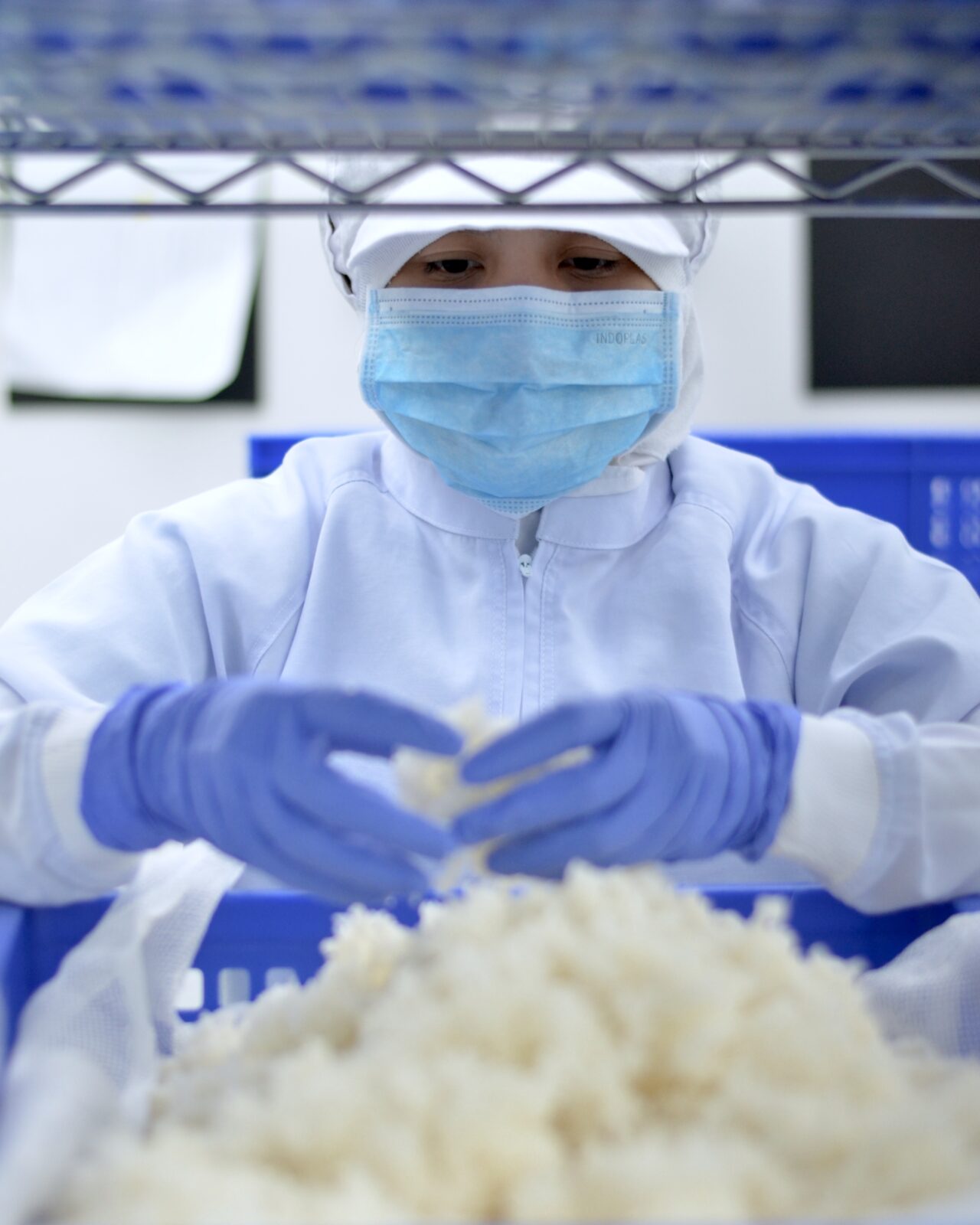 Be Our Partner - BiotechJP