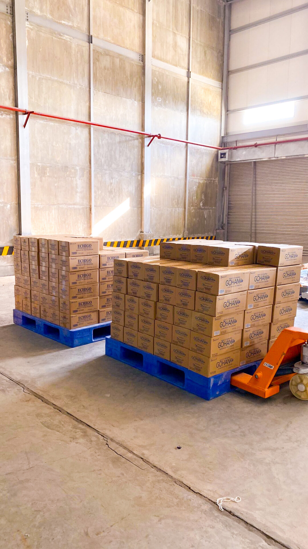 Bayanihan Continues: BiotechJP Corp. Donates Echigo and Gohan Lite for ...